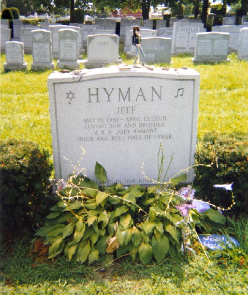 Joey Ramone - Carleso.com